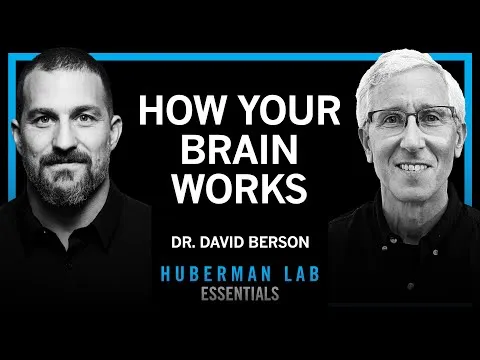 How the brain creates vision: retina, color, cortex | Summabase